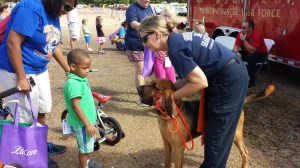 To the Rescue! – Dogs, Mysteries, & More