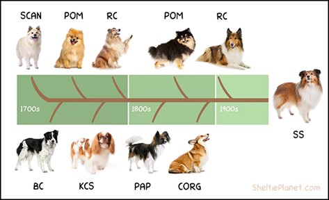 All in the Family – Dogs, Mysteries, & More